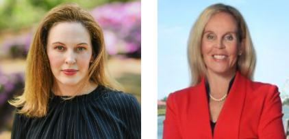 Election primer on NH Executive Council races » Nashua Ink Link