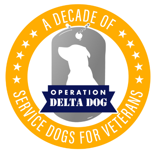 Operation Delta Dog: Pairing rescue dogs with veterans struggling with ...