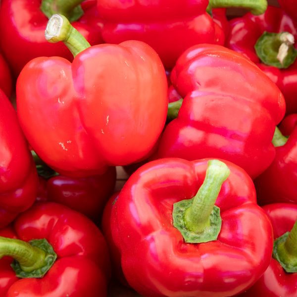 Nashua Farmers Market begins new Season » Nashua Ink Link