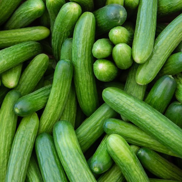 Nashua Farmers Market begins new Season » Nashua Ink Link