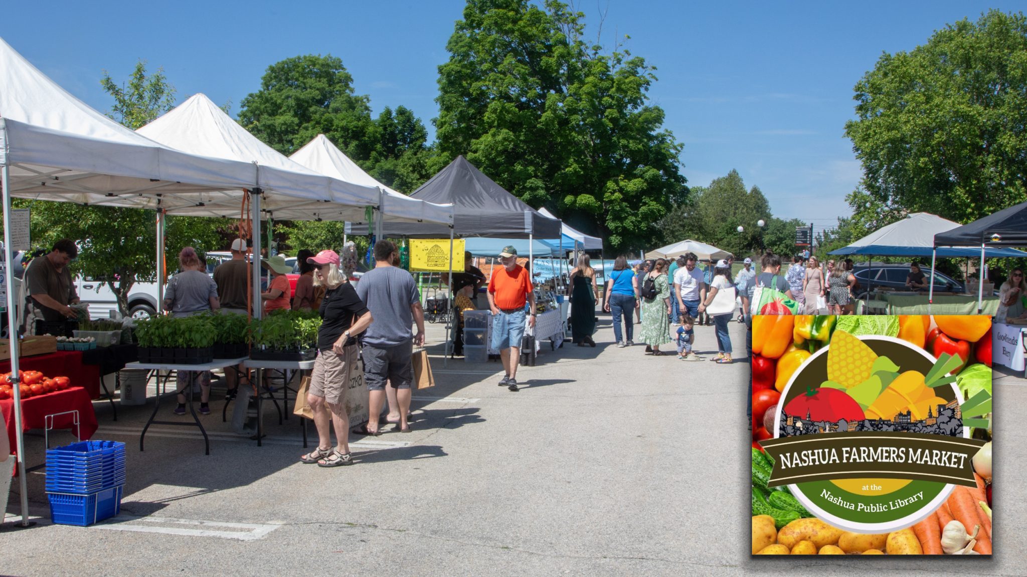 Nashua Farmers Market begins new Season » Nashua Ink Link
