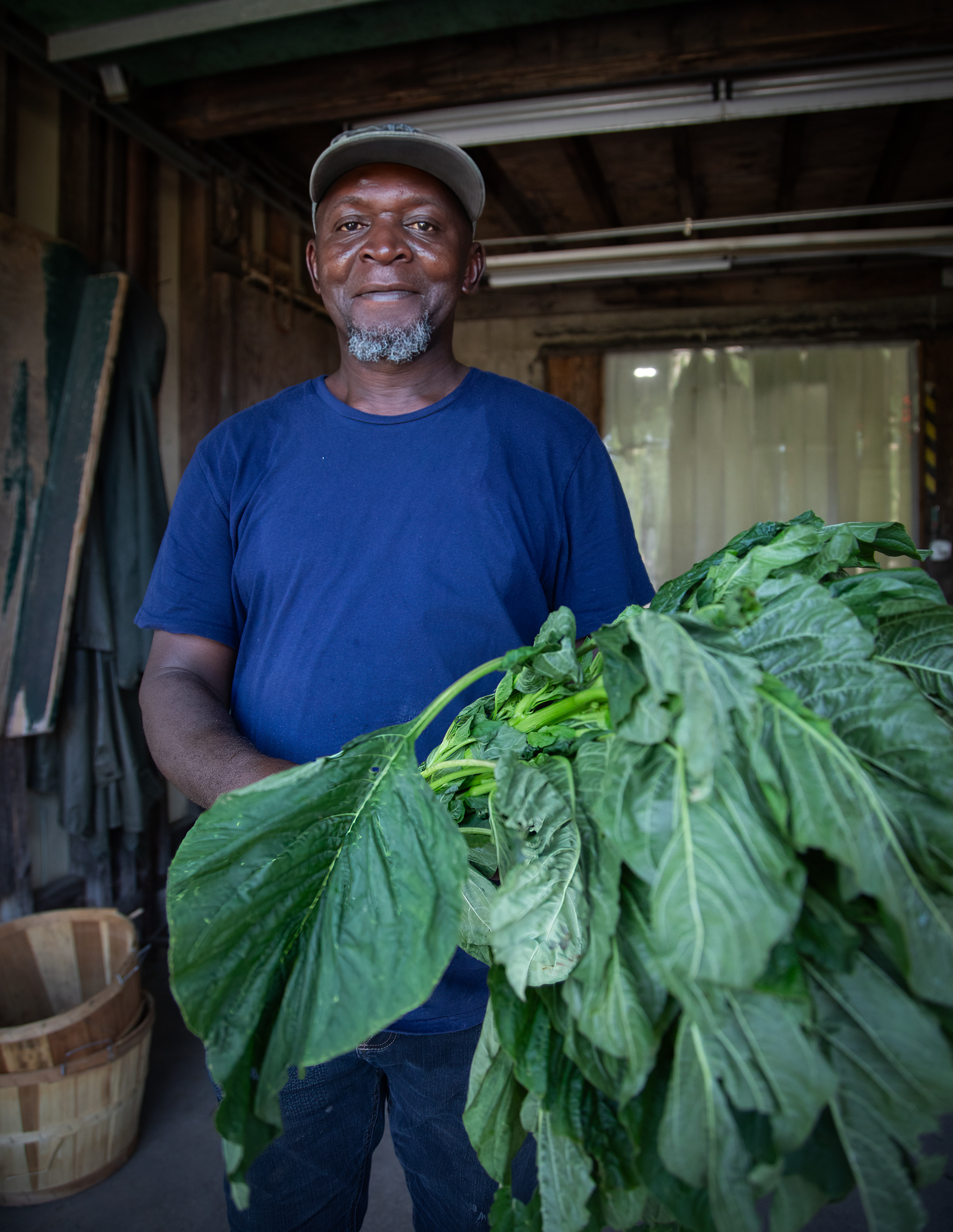 Lil' Free Farmstand: Fighting hunger and building community in Nashua ...
