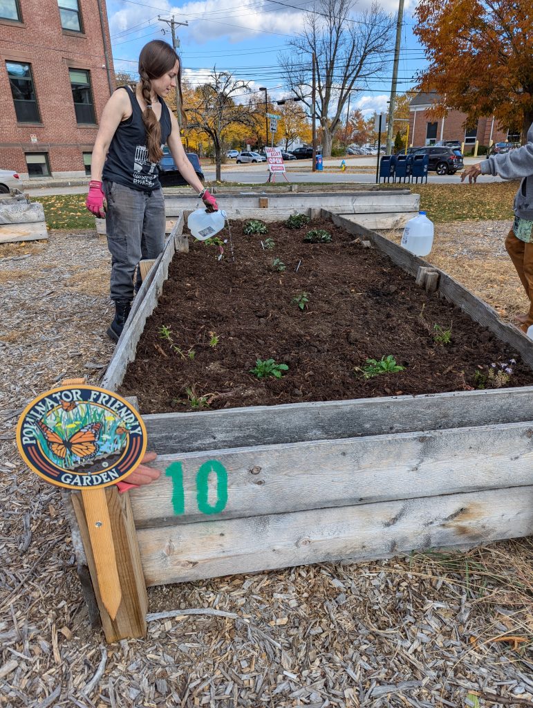 Community group plants pollinator gardens to help mitigate climate ...