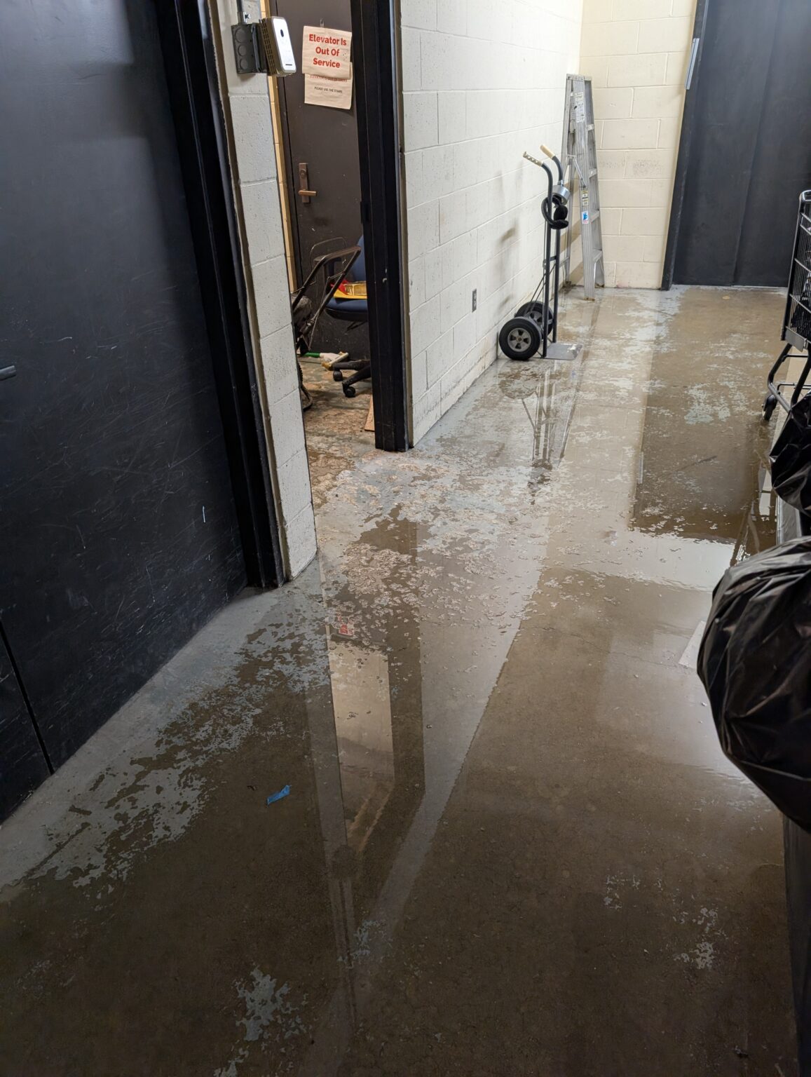 Costly consequences of 'misuse' of library bathrooms: $7,300 in ...